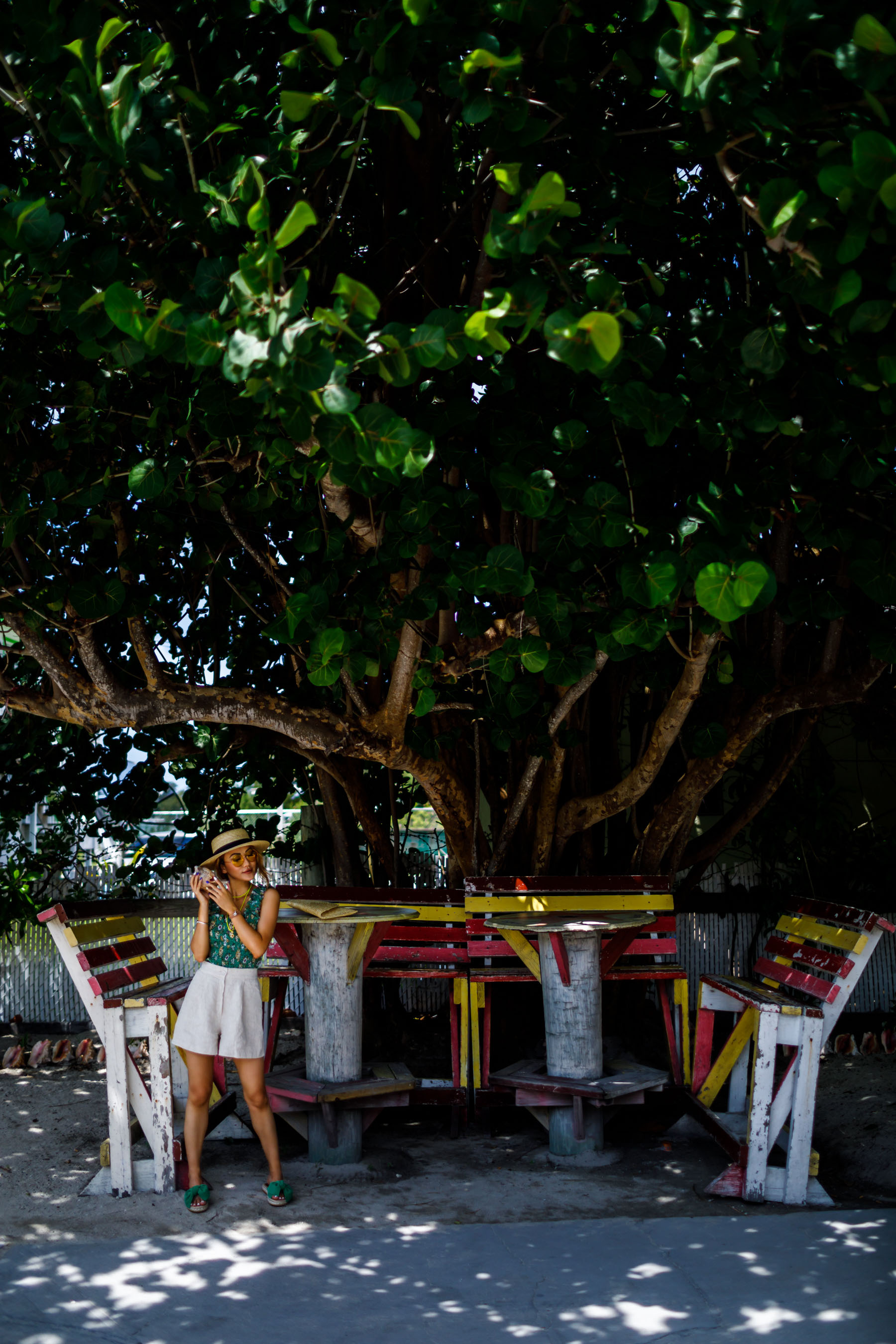 VIBRANT BIMINI: AN ARTIST’S PALETTE COME TO LIFE - Jessica Wang